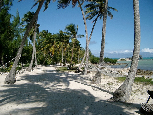 Ecotourism in the Bahamas - Mynatour